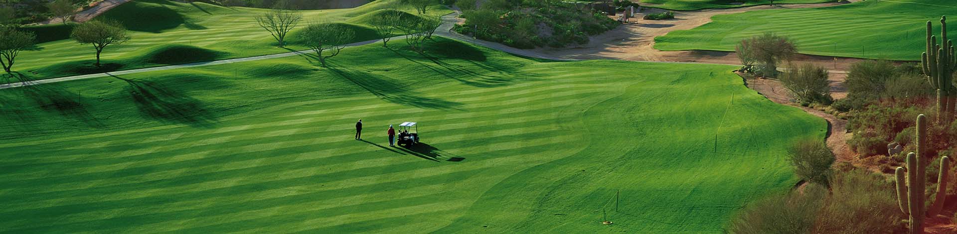 Greenmaster Liquid - Liquid Fertilizer for Rapid Turf Uptake | ICL ANZ