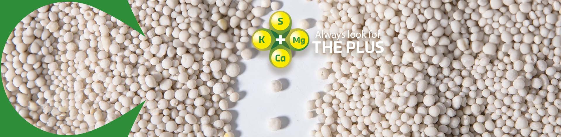NPK Plus - Six-in-One Granulated Fertilizer for All Crops | ICL