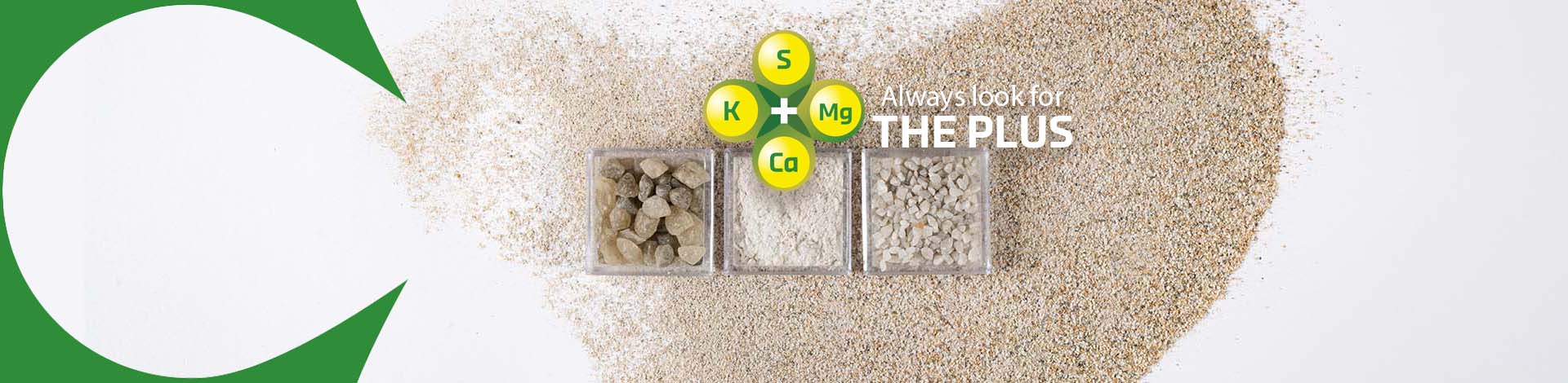 Polysulphate - Natural Fertilizer for All Crops & Soils | ICL