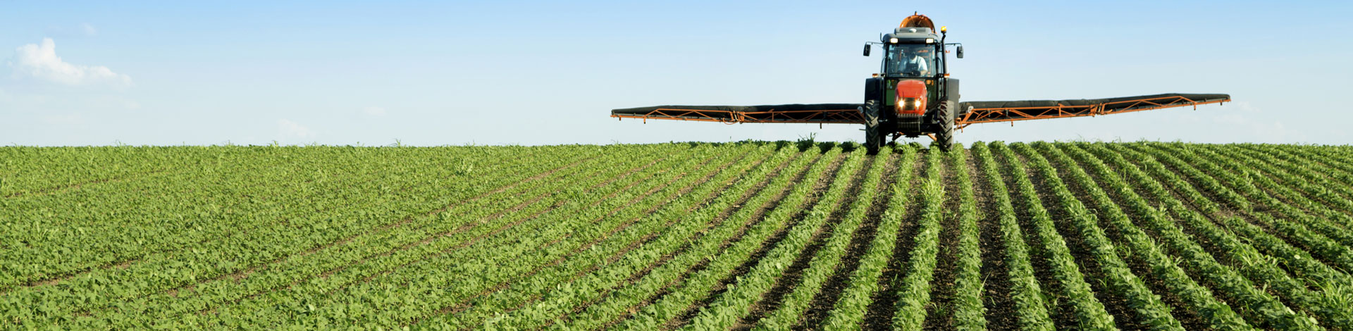 Agrolution Liquid - Fertilizer for Fertigation with Micronutrients | ICL