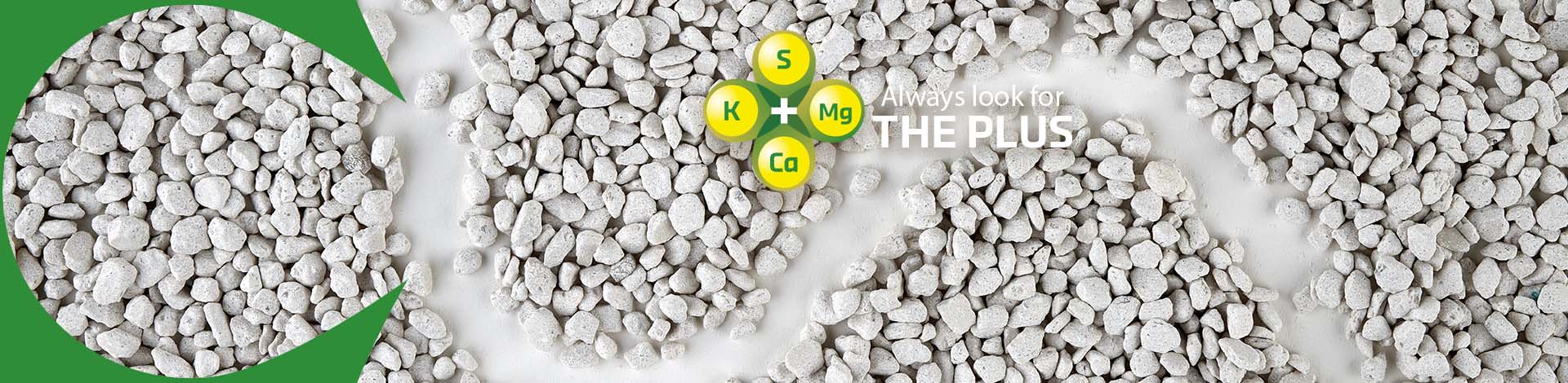 Megapoly - Potash Fertilizer with Polysulphate for All Crops | ICL