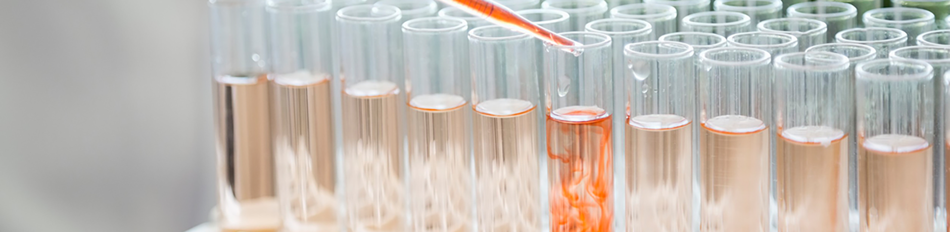 Discover Technologies Behind Wetting Agents For Turf | ICL UK
