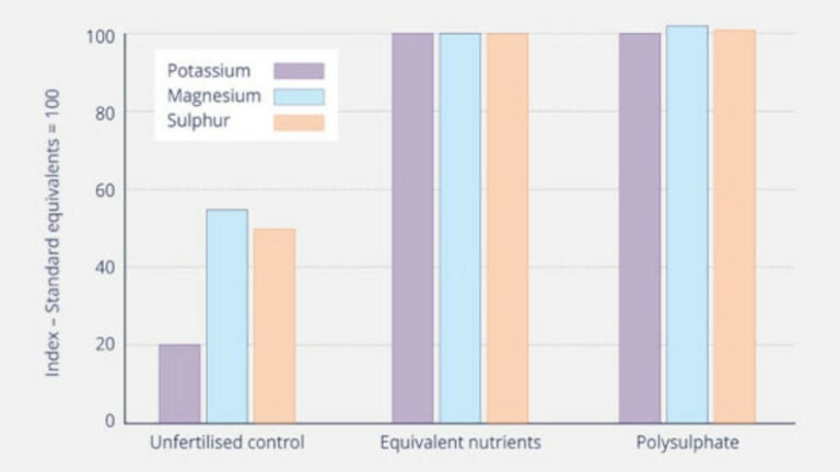 Polyhalite Adds Exclusive Natural Component in Turf Fertilizers | ICL