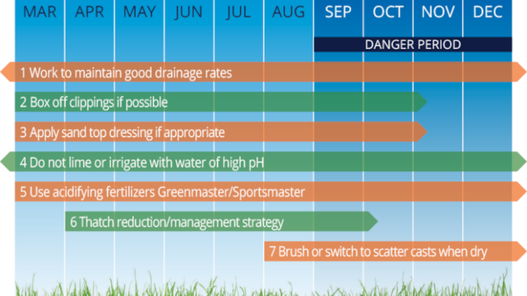 Earthworms Are Useful but Their Casts Can Damage Lawns | ICL ANZ