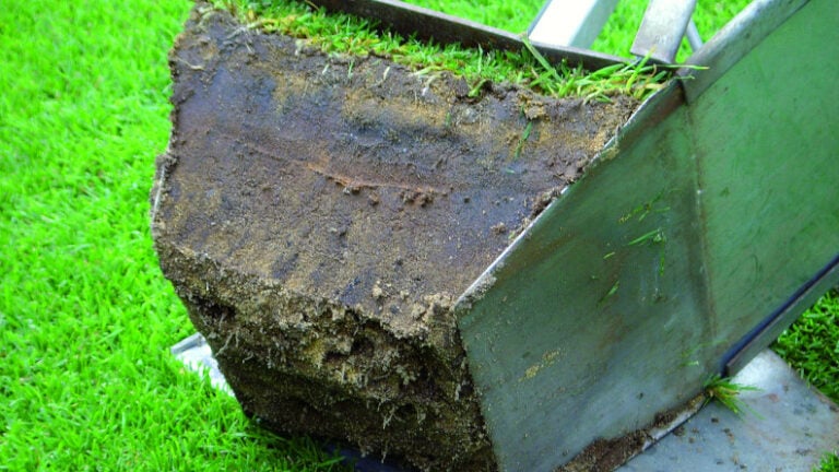 Learn What Black Layer Is, How it Forms, How to Tackle it | ICL