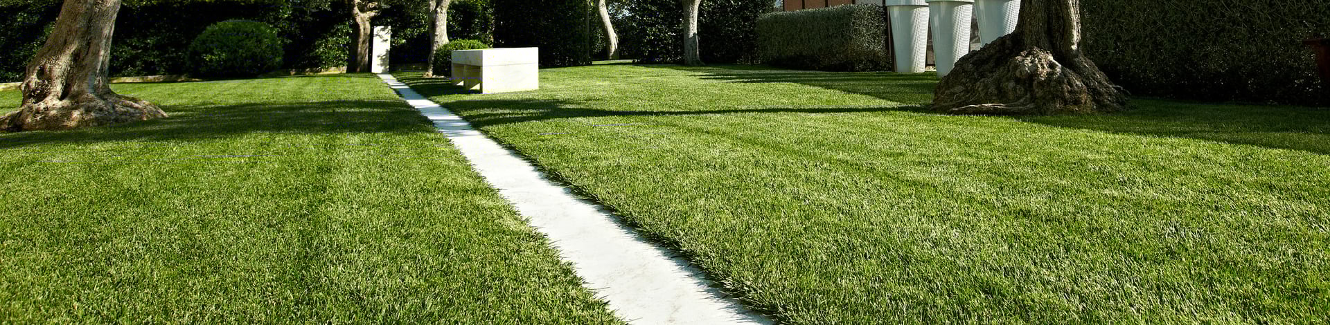 Mistakes to Avoid When Watering Turf and lawns | ICL