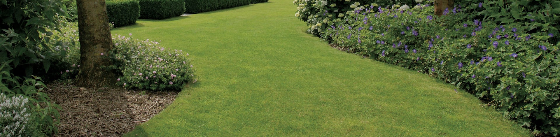 Learn What Black Layer Is, How it Forms, How to Tackle it | ICL