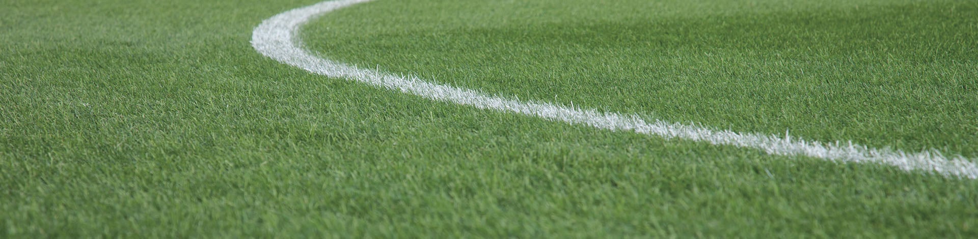 Waterlogging and Flooding Affect Turf Quality | ICL