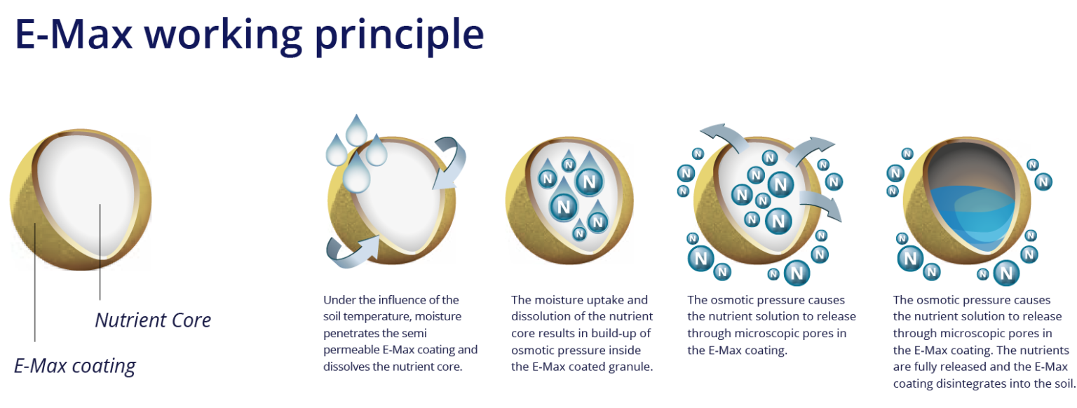 Key Features of Controlled-Release (or Coated) Fertilizers | ICL