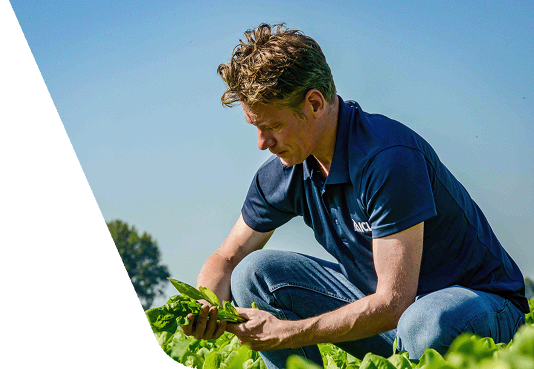 Agriculture - Fertilizers and Solutions | ICL