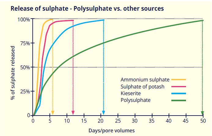Polysulphate Reduces Sulfate Leaching | ICL