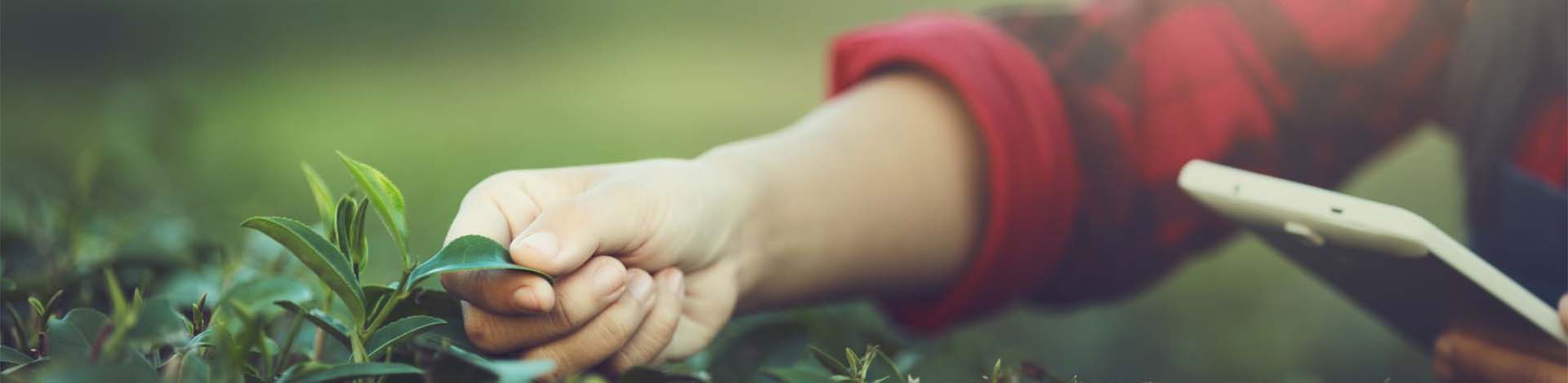 Impacting Our World and Reshaping the Future | ICL