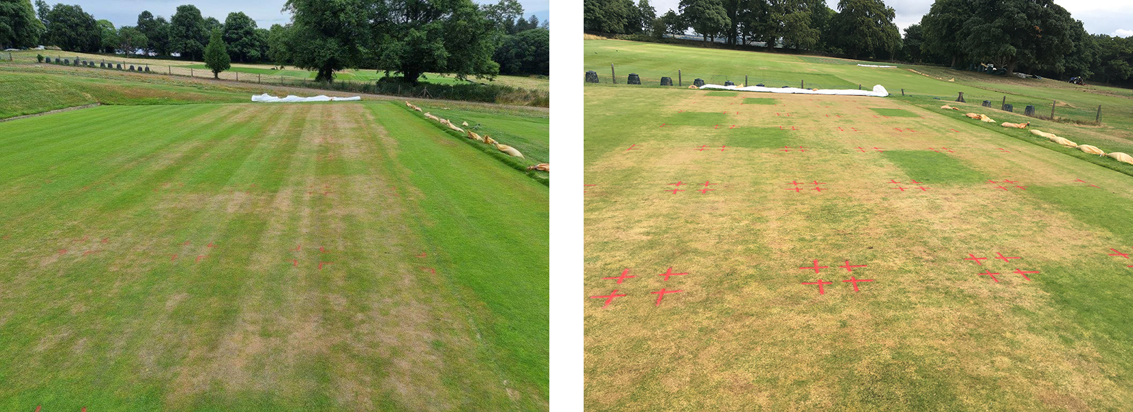 Trial: H2Pro TriSmart as non-microbial plant biostimulant | ICL