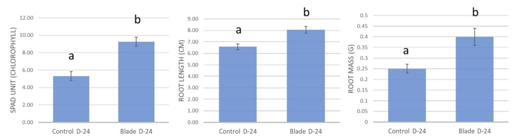 Trial: Vitalnova Blade increases turf quality | ICL