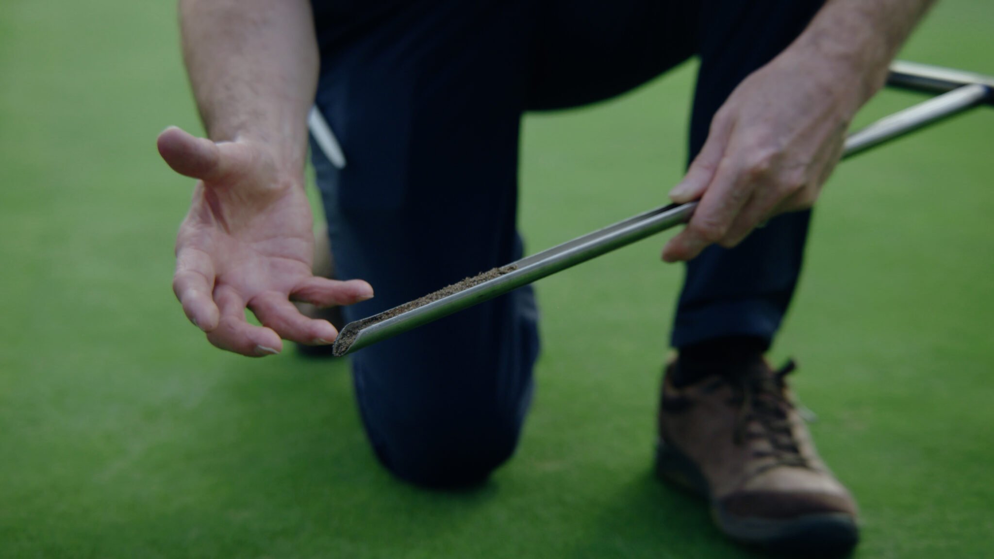 How to build an integrated turf management program | ICL