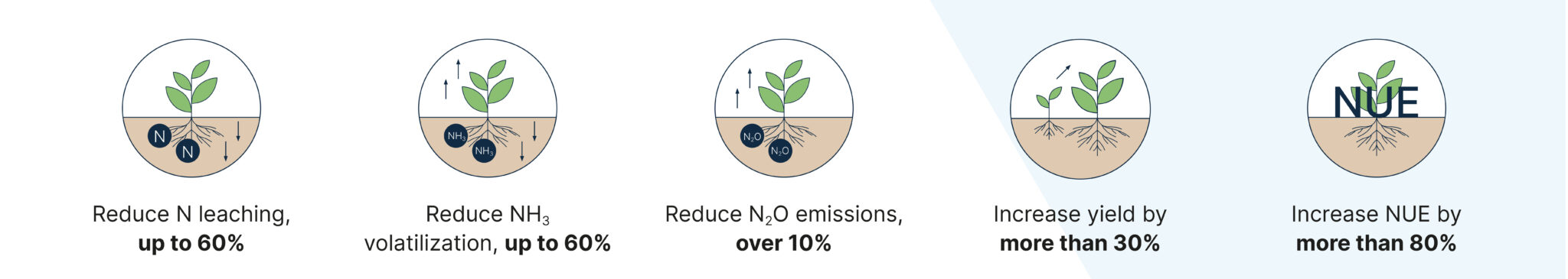 ICL's Biodegradable CRF: Efficient Nitrogen Management | ICL
