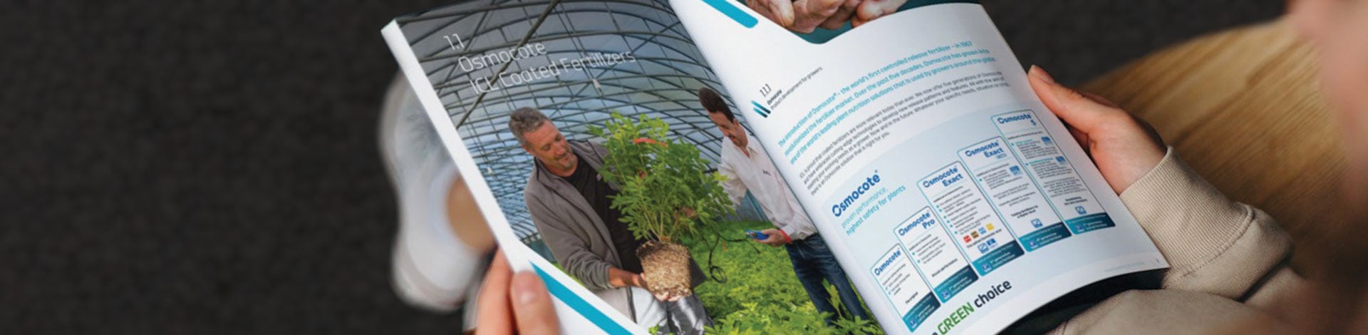 Our latest brochure for Ornamental Horticulture | ICL