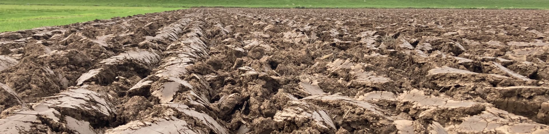 Enhancing Soil Health & Sustainability with Controlled-release ...