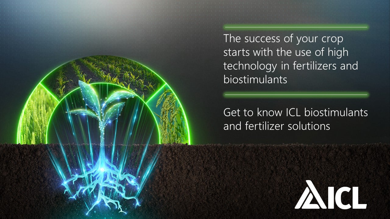 The Transformative Role of Biostimulants in Modern Farming | ICL