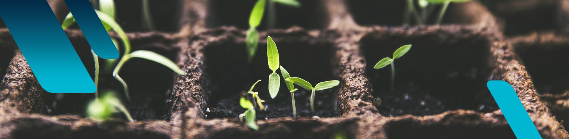 Inside insights from local experts: Germany with Tim Dallmann | ICL