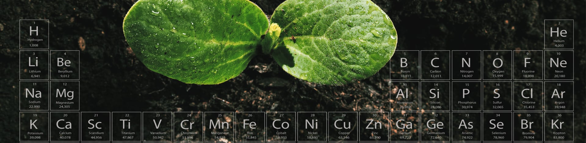 Understanding Mulder’s Chart: The Key to Balanced Soil Nutrition | ICL
