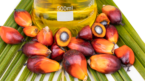 Oil and Protein Crops | ICL