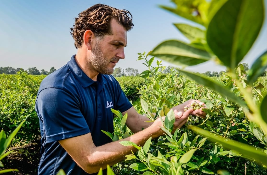 ICL: Growing Solutions for Crops, Plants & Turf Grass