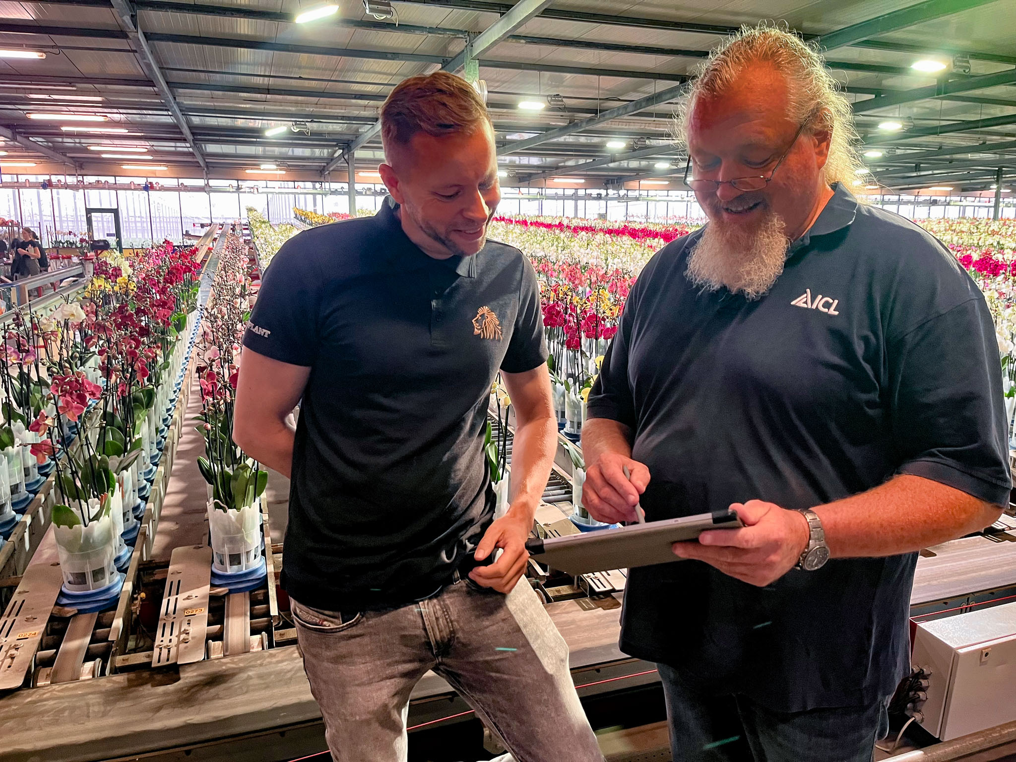 How Levoplant grows stronger with ICL | ICL