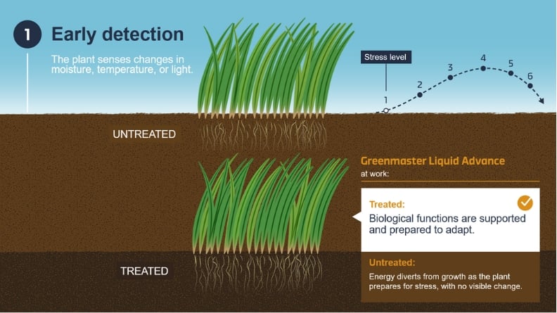 The Six Stages of Turf Stress: How Turf Responds Under Pressure | ICL