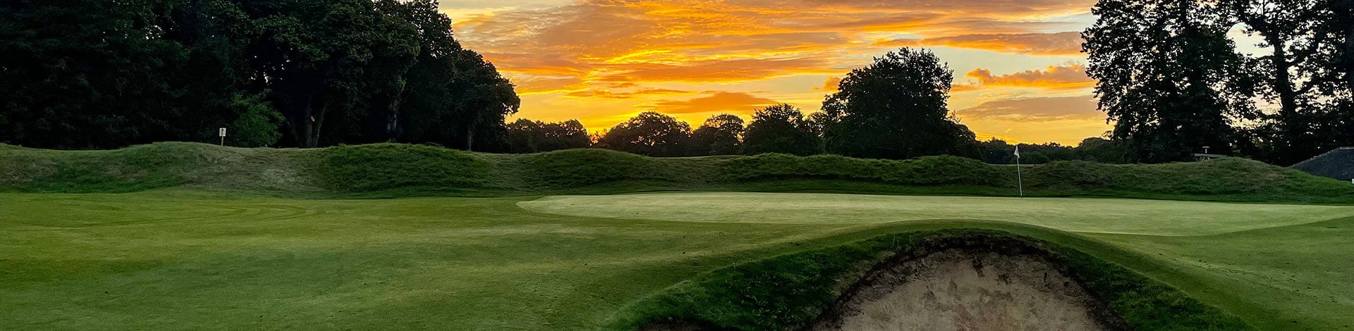 Vitalnova - A Leading Range Of Proven Turf Biostimulants | ICL UK