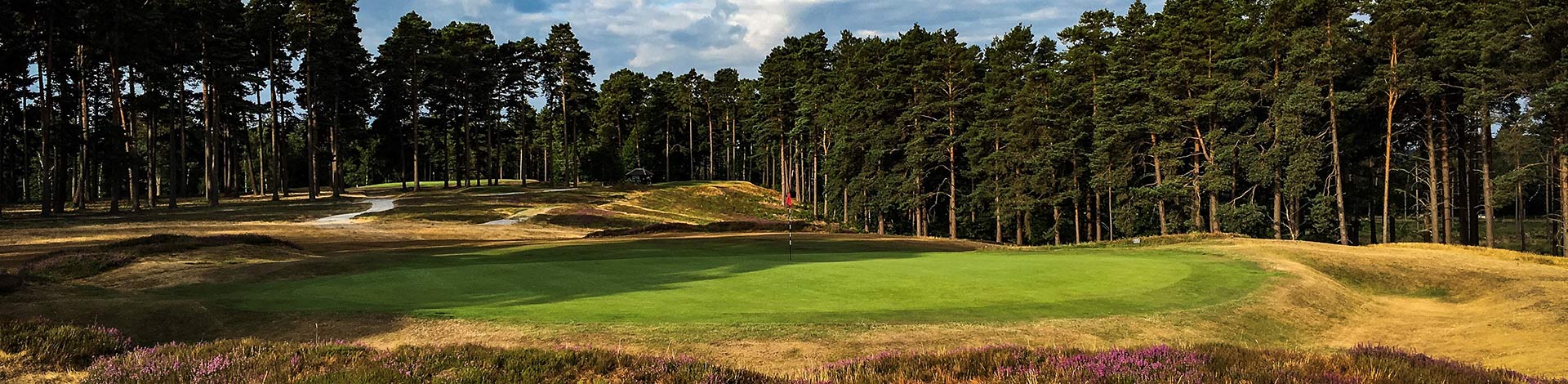 Greenmaster Liquid - Liquid Nutrition For Rapid Turf Uptake | ICL UK