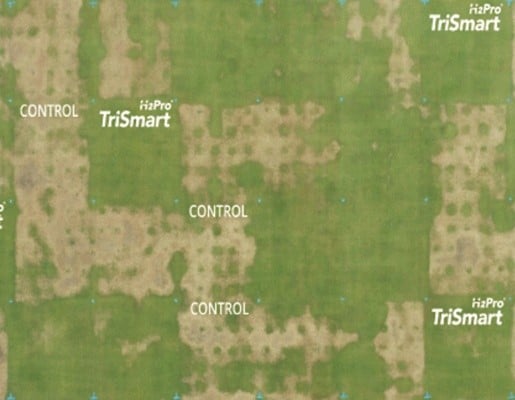 H2Pro TriSmart: Tried And Tested | ICL UK