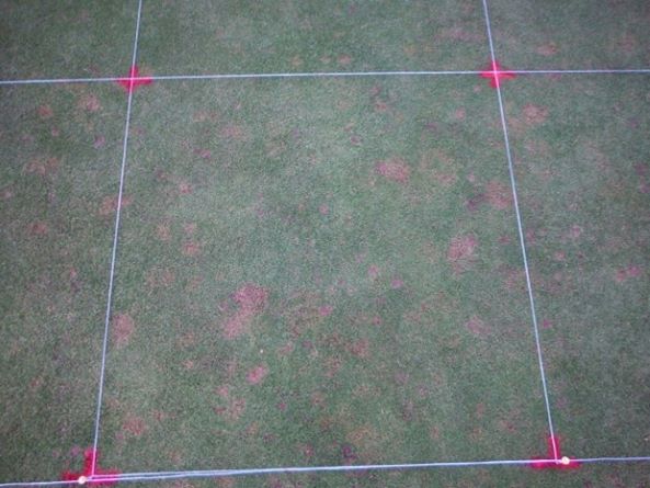 Autumn Disease Control | ICL UK