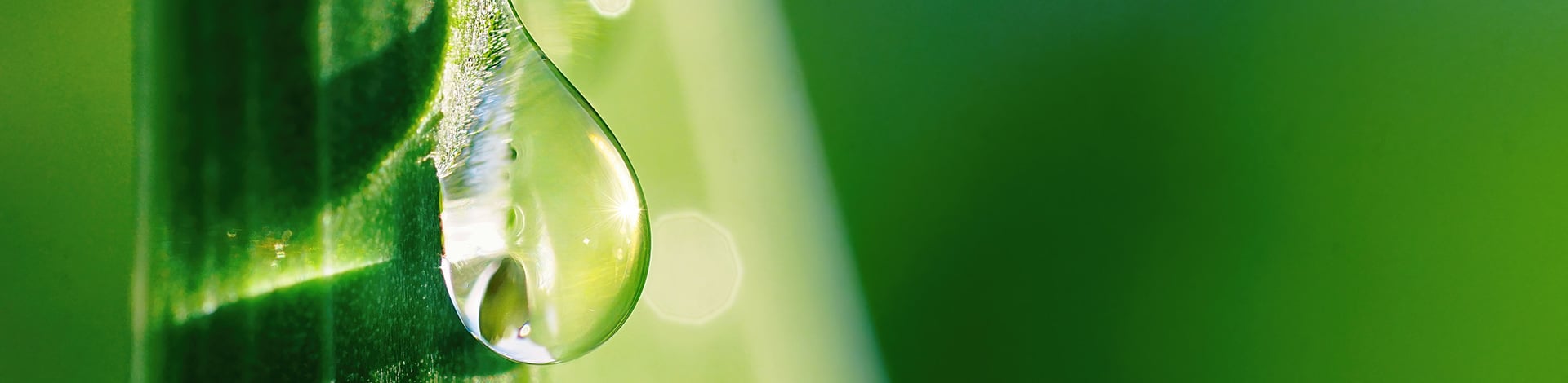 Turf trial - H2Pro TriSmart (STRI) | ICL IE