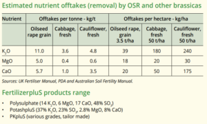 Growing Oil Seed Rape - Fertilisers for Oil Seed Rape | ICL UK