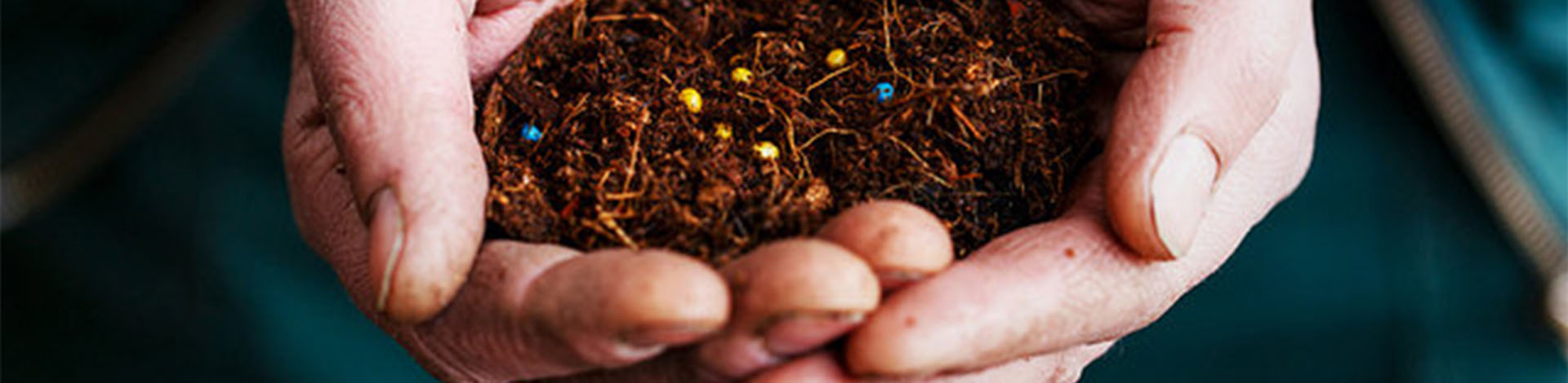 New microbial inoculant - Vitalnova TriBoost | ICL IE