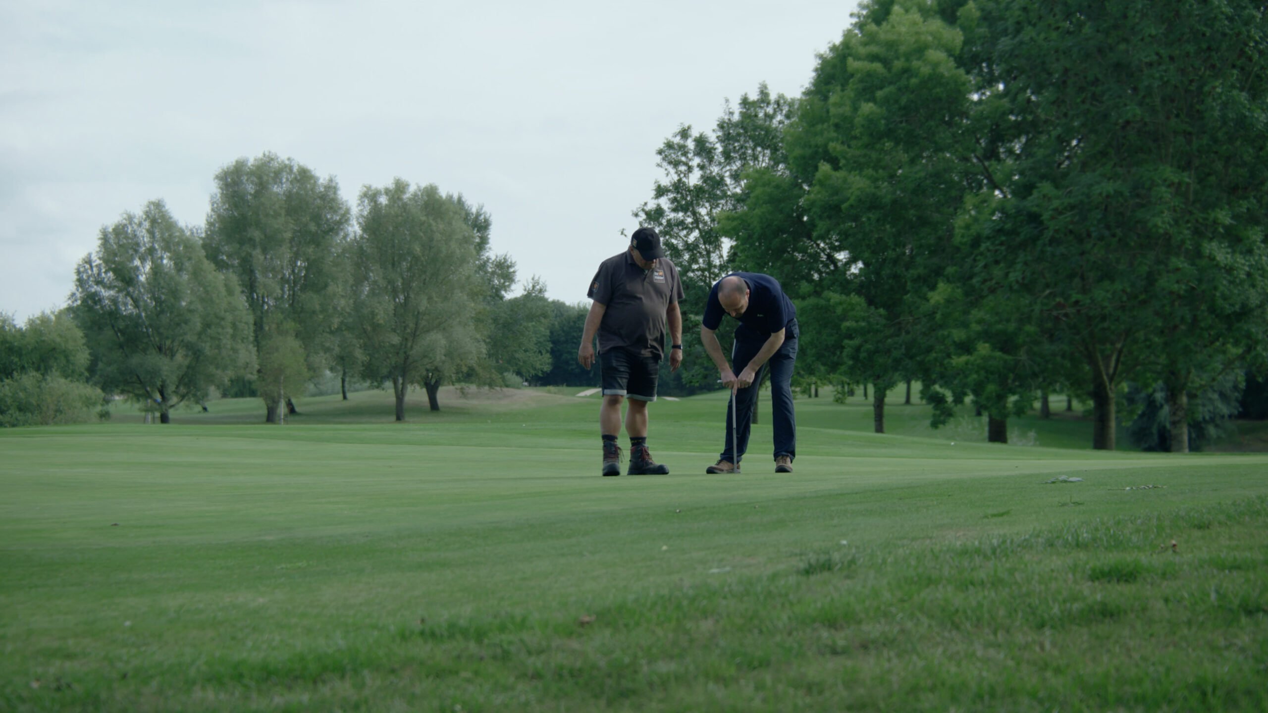 Embracing Integrated Turf Management for turf excellence | ICL UK