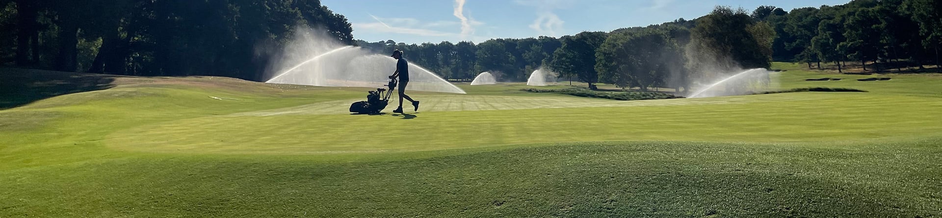 Understanding Integrated Disease Management (IDM) for Turf Health | ICL UK