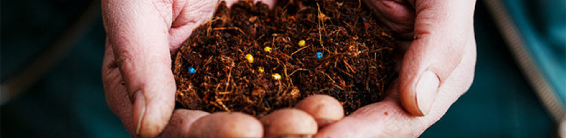 Biostimulants – choosing a star performer | ICL UK