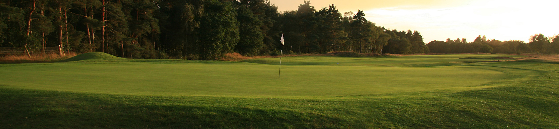 Spring Turf Growth & Nutrition Insights | ICL UK