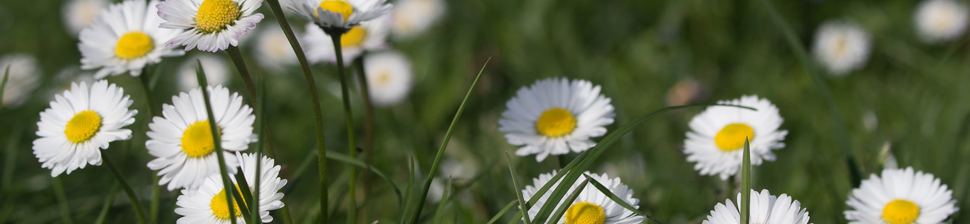 Important usage restrictions for Praxys® | ICL UK