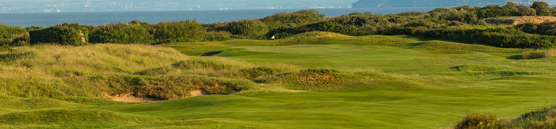 Summer turf diseases on golf greens: What to watch for and why | ICL UK