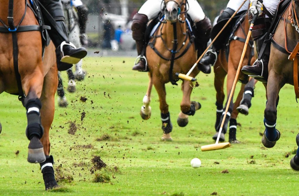 Turf & Landscape Fertilisers and Solutions | ICL UK