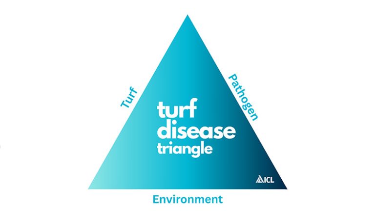 Understanding Summer Disease Risk in Stadia | ICL UK