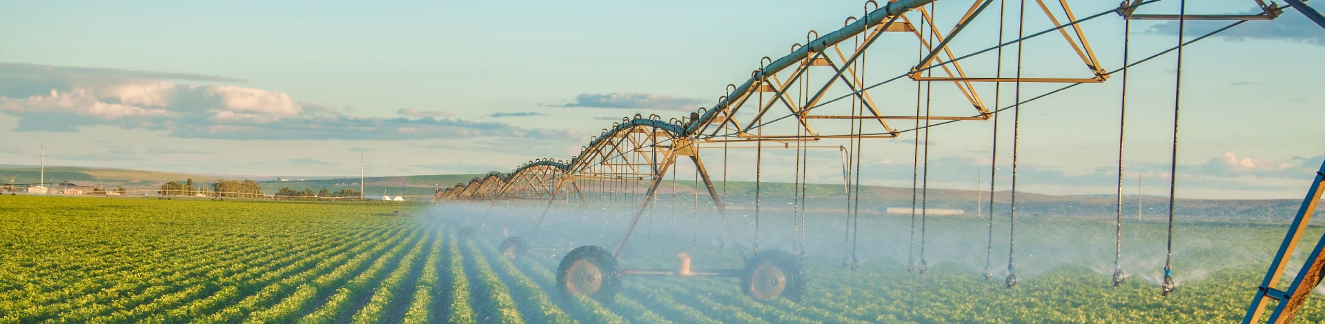 Agronomists Say: Every Drop Counts for Fertigation | ICL US