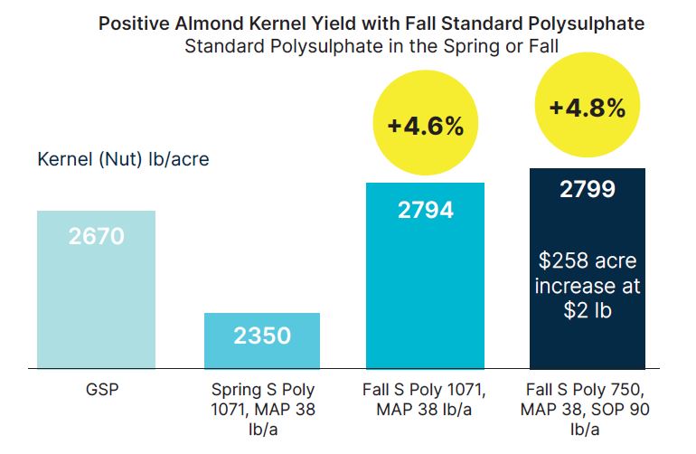 Fall-Applied Polysulphate Improves Almond Yield | ICL US