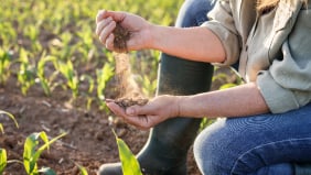 How Can US Farmers Prepare for Drought | US ICL