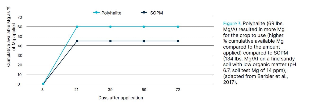 Technical Bulletin: Polysulphate as a Magnesium Source | ICL US