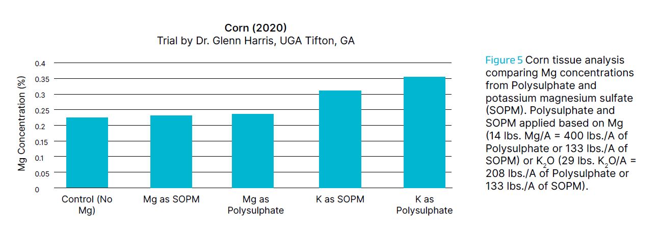 Technical Bulletin: Polysulphate as a Magnesium Source | ICL US
