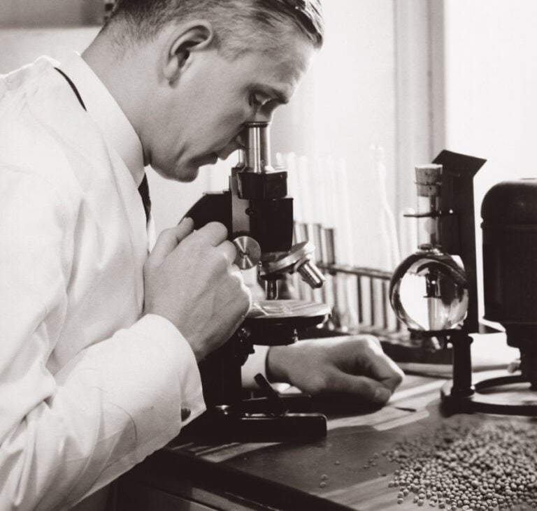 Osmocote 101: the story and science | ICL US